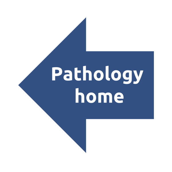 So, what is Pathology? - NHS Wales Performance and Improvement