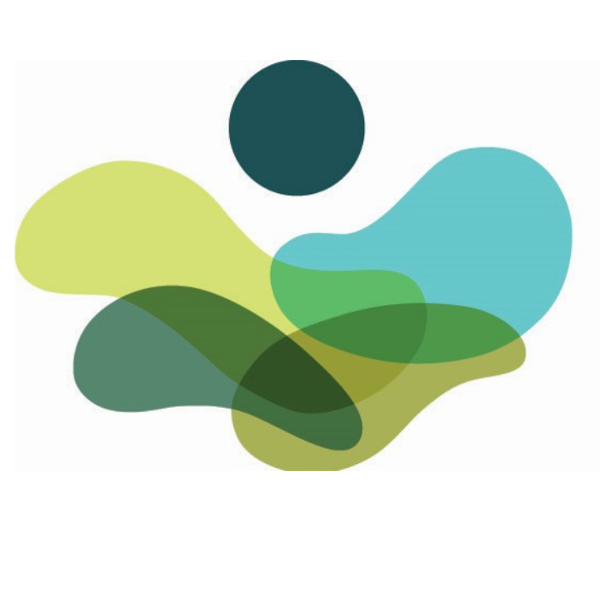 The Latest Word from NYTH/NEST - NHS Wales Performance and Improvement